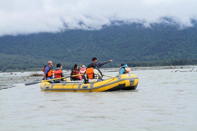 Half-Day Chilkat Bald Eagle Preserve Float Tour - Authentic Reviews and Real Experiences