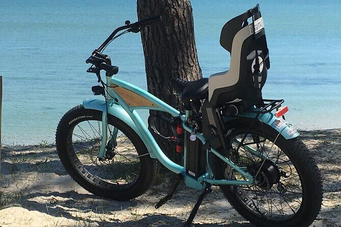 Half day circuit in Electric Fatbike Guided by GPS - Reviews: What Past Riders Say