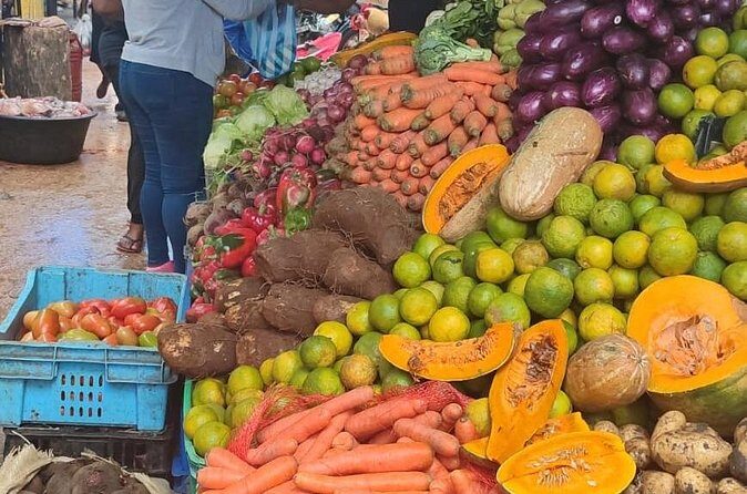 Half-day City tour cultural from punta cana for small group - The Sum Up: A Balanced Look at the Experience