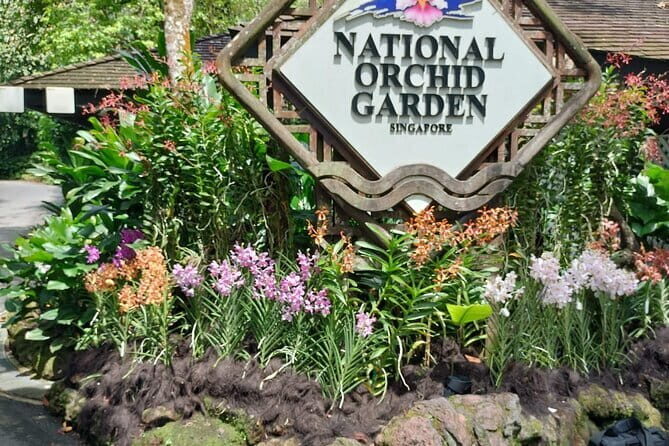 Half Day City Tour in Singapore Orchid Garden - A Practical Overview of What the Tour Offers