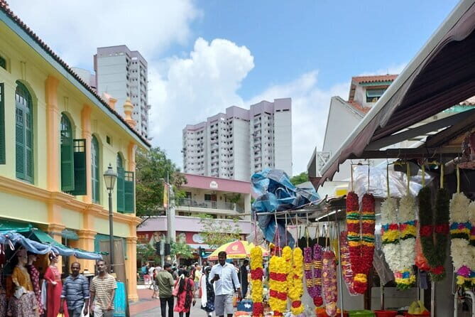 Half Day City Tour in Singapore Orchid Garden - Why This Tour Works for You