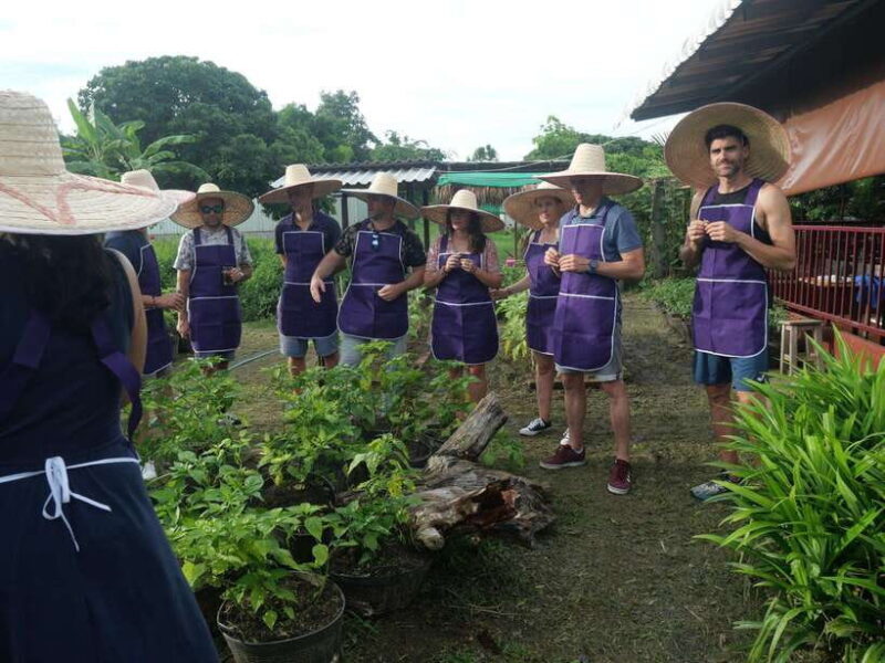 Half Day Cooking Class at Organic Farm & City Garden&Market - An In-Depth Look at What This Tour Offers