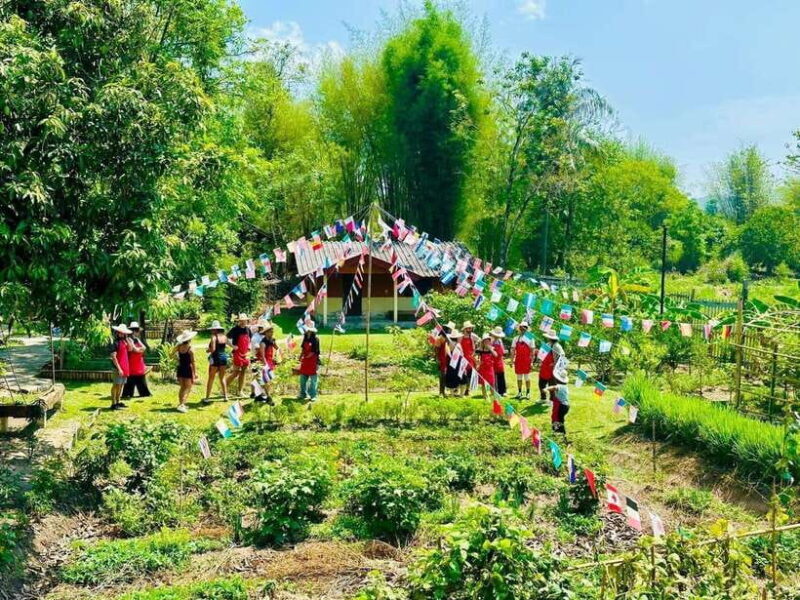 Half Day Cooking Class at Organic Farm & City Garden&Market - The Reviews Speak Volumes