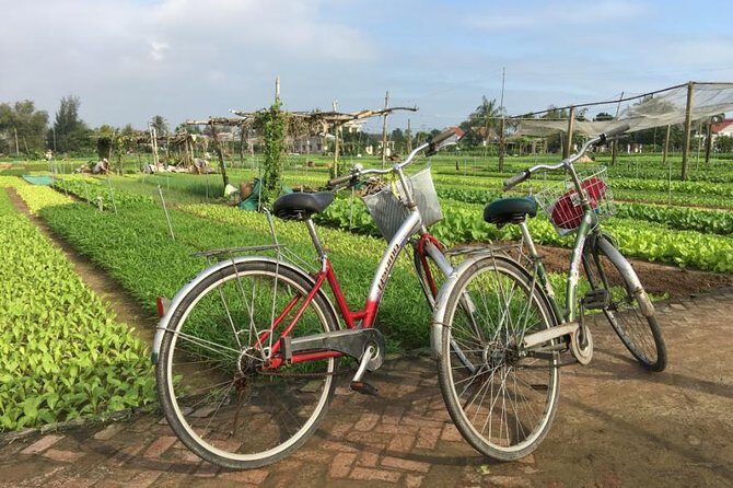 Half Day Cooking Class At Tra Que Vegetable Village Hoi An - Why This Tour Stands Out