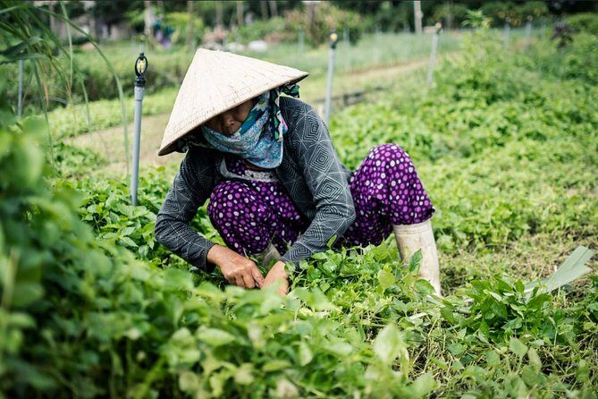Half Day Cooking Class At Tra Que Vegetable Village Hoi An - FAQ