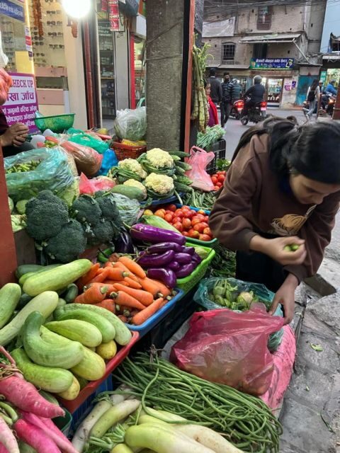 Half Day Cooking Class in Thamel with Local Market Visit - Is It Worth the Price?