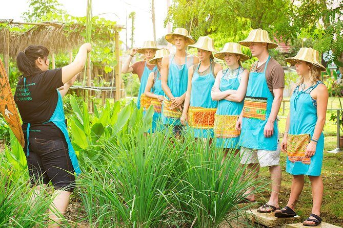 Half Day Cooking in Farm with Market Tour in Chiang Mai - Key Points
