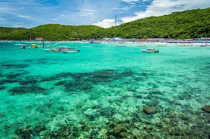 Half-day Coral Island Join Tour with Lunch from Pattaya - Key Points