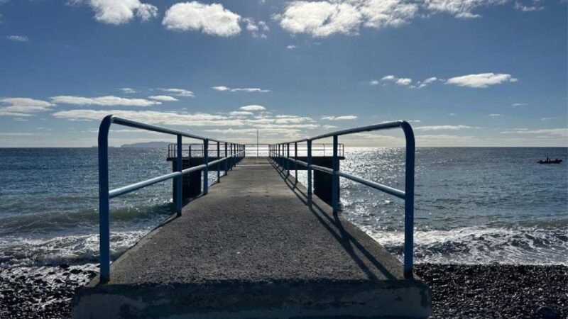 Half-Day Country Market Tour on Madeira Island - Key Points