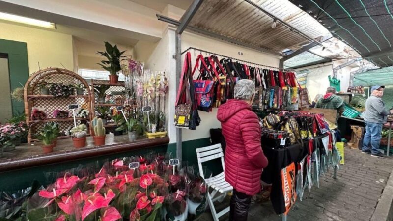 Half-Day Country Market Tour on Madeira Island - Frequently Asked Questions