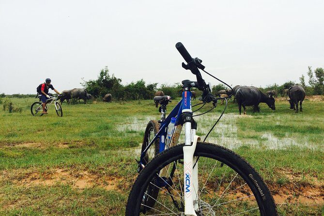 Half Day Countryside Cycling Tour, Siem Reap Private Tours - Key Points