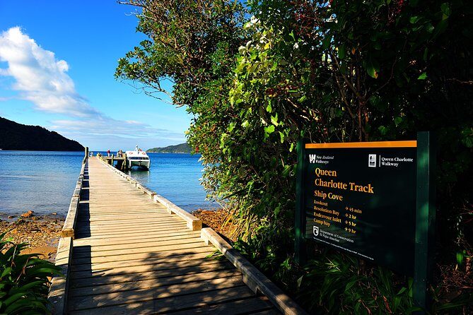 Half-Day Cruise in Marlborough Sounds from Picton - The Value of a Guided Scenic Voyage