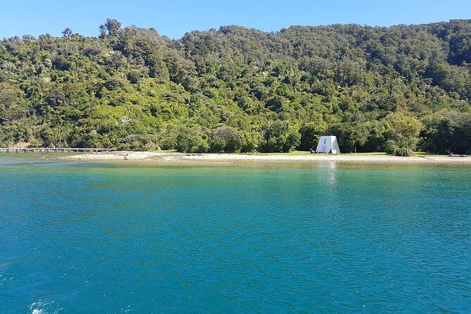 Half-Day Cruise in Marlborough Sounds from Picton - Frequently Asked Questions