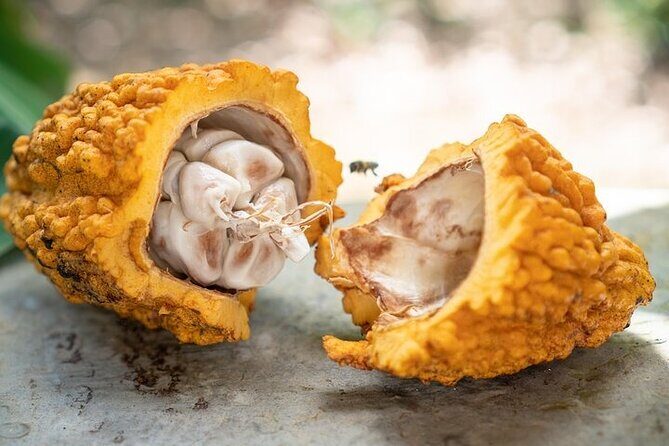 Half-Day Cultural Experience: History, Flavors & Local Artisans - An In-Depth Look at the Tour Itinerary