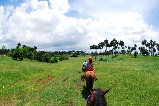 Half-Day Cultural Safari - Pricing and Value