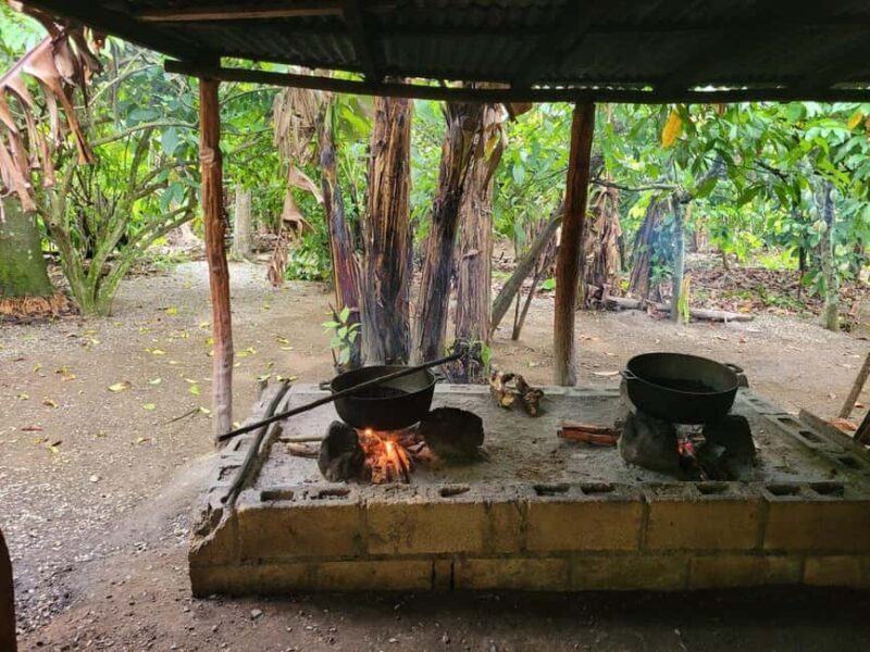 Half-day cultural safari to Higüey with lunch - Who Will Enjoy This Tour?