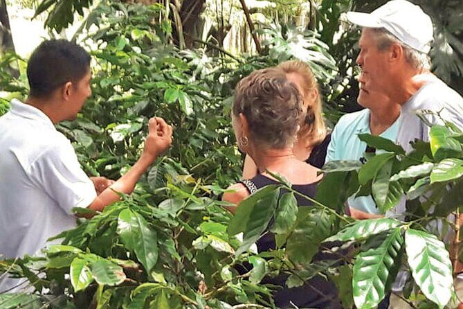 Half-Day Cultural Safari Tour from Punta Cana - Authenticity and Value