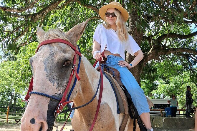 Half-day Cultural Tour in the City of Higüey - The Sum Up