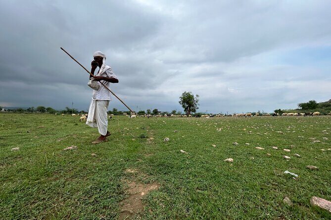 Half-Day Cultural Village Jeep Safari in Jaipur - The Sum Up: Is It Worth It?