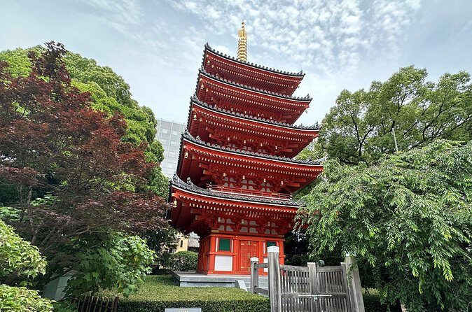 Half Day Customized Tour in Fukuoka - Practical Aspects of the Tour