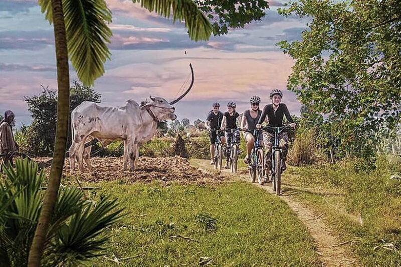 Half-Day Cycling to Discover Battambang's Rural Livelihoods - An In-Depth Look at the Tour Experience