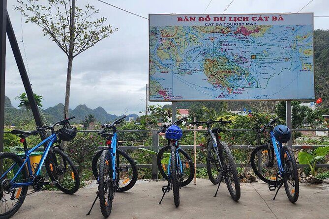 Half-Day Cycling Tour on Cat Ba Island - The Sum Up