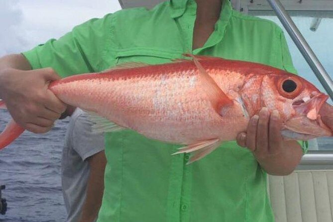 Half day Deep sea/light tackle fishing charters - Key Points