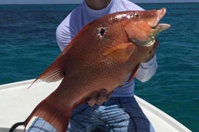 Half day Deep sea/light tackle fishing charters - The Pros and Cons