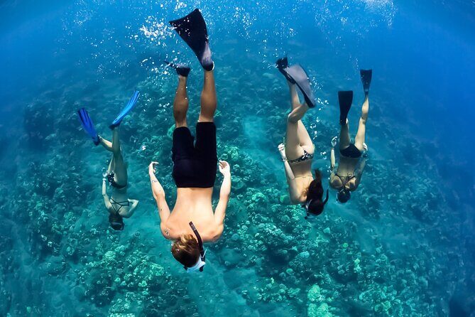 Half-Day Deluxe Molokini Snorkel Excursion in Maui - An In-Depth Look at the Molokini Snorkel Experience