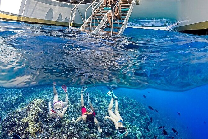 Half-Day Deluxe Molokini Snorkel Excursion in Maui - Final Thoughts