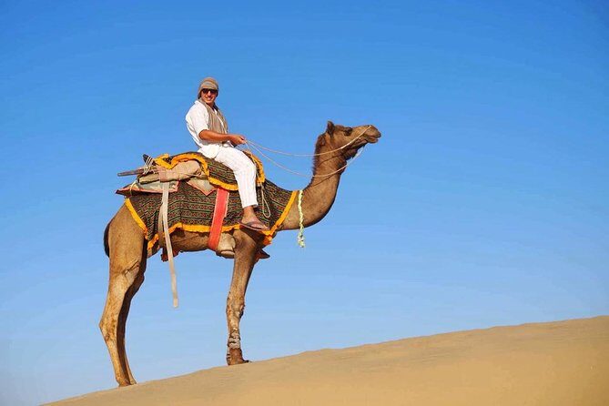 Half Day Desert Safari Jaisalmer - Practical Details and What You Should Keep in Mind