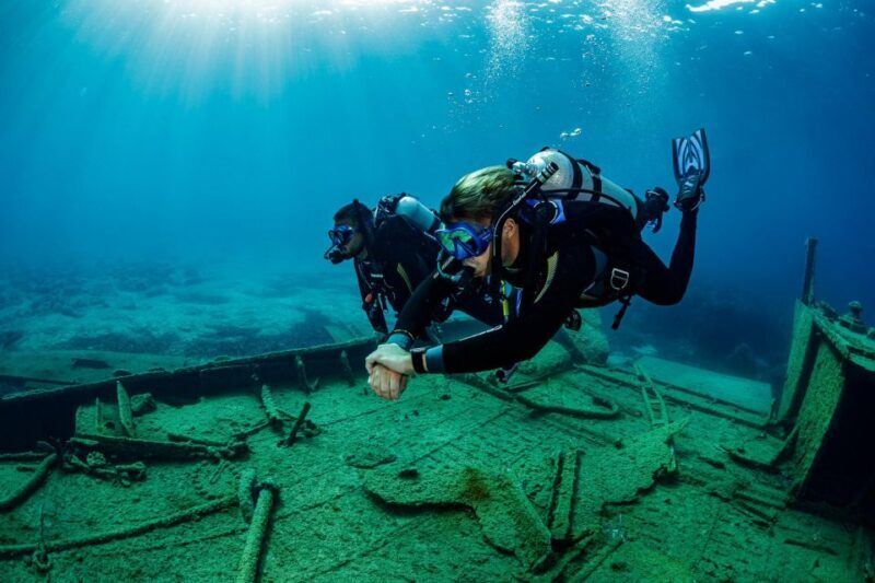 Half Day Dive Trip for Certified Divers - The Water and Underwater Experience
