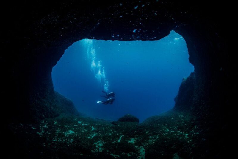 Half Day Dive Trip for Certified Divers - Who Should Consider This Tour?