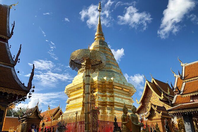 Half Day Doi Suthep Temple and Palad Temple (Private tour) - Authentic Experiences and Highlights from Reviews