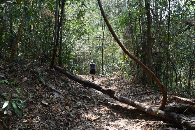 Half Day Doi Suthep Temple and short trekking on monk trail (Private Tour) - Key Points