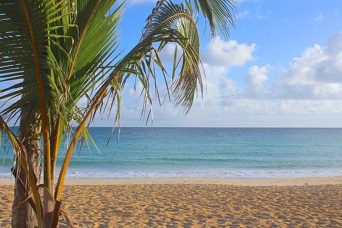 Half-Day Dominican Republic Safari Tour from Punta Cana - Who Should Consider This Tour?