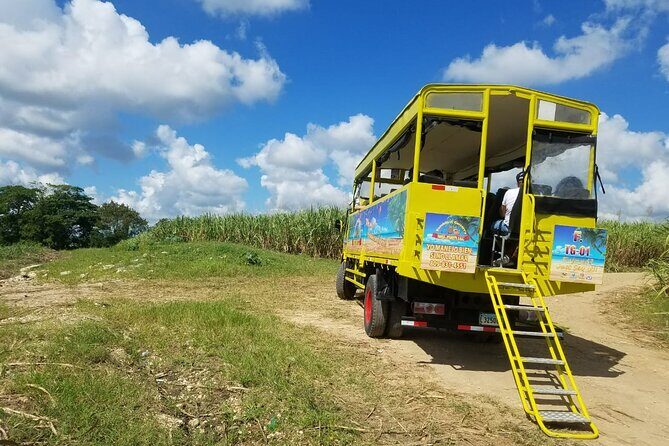 Half day Dominican Safari Experience ... / Half day Safari Excursion - An In-Depth Look at the Dominican Safari Experience