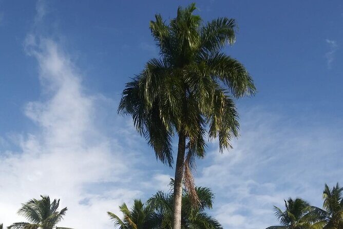 Half day Dominican Safari Experience ... / Half day Safari Excursion - FAQ