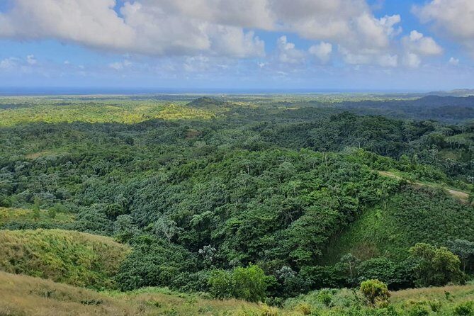 Half Day Dominican Safari for all Family - An In-Depth Look at the Tour Experience