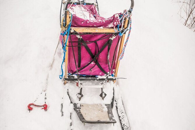 Half Day "Drive Your Own Dog Team" Dog Sledding Tour - FAQs