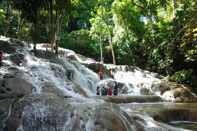 Half-Day Dunn's River Falls, Blue Hole Tour with River Tubing from Ocho Rios - What to Expect in Terms of Value
