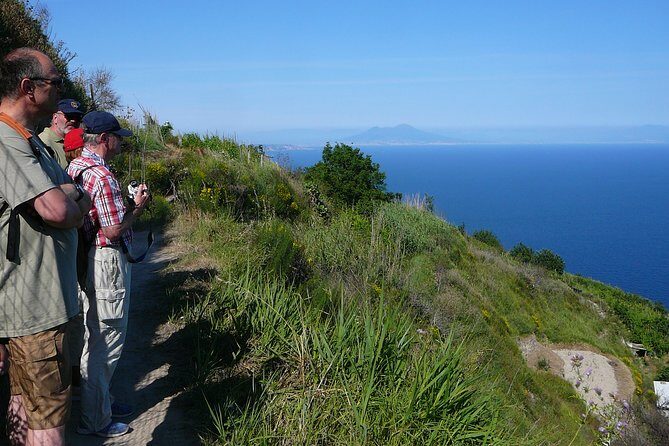Half-day east coast hike in Ischia island with pick-up - Authentic Experiences That Stick