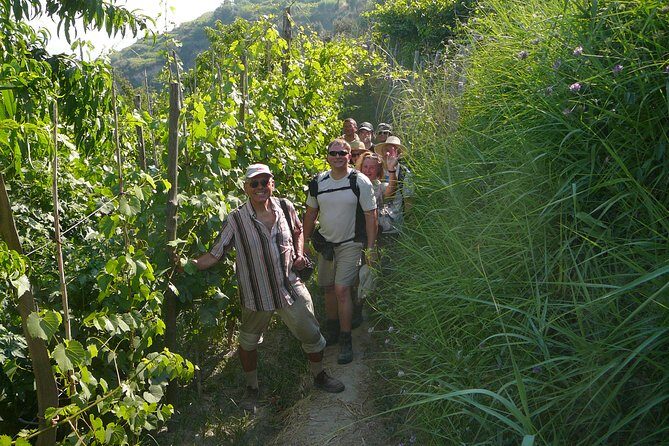 Half-day east coast hike in Ischia island with pick-up - Frequently Asked Questions