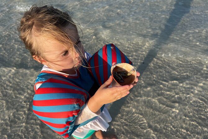 Half Day Eco and Dolphin Boat Tour in Siesta Key - An Honest Look at Sarasota’s Half-Day Eco and Dolphin Boat Tour