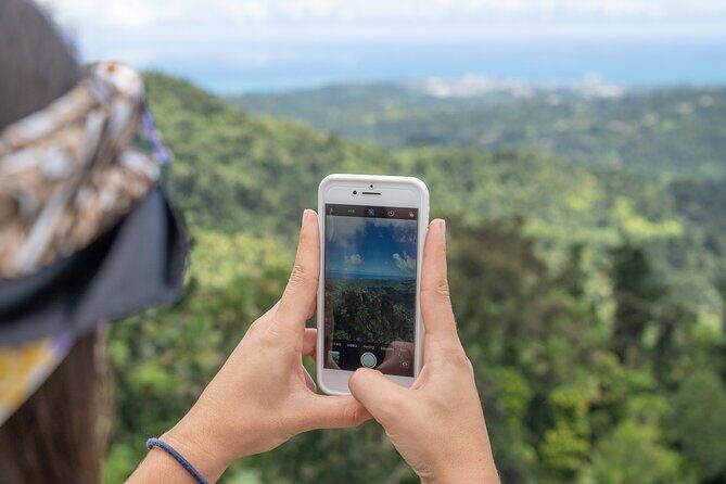 Half-Day El Yunque National Forest Tour from San Juan - An In-Depth Look at the El Yunque Tour Experience