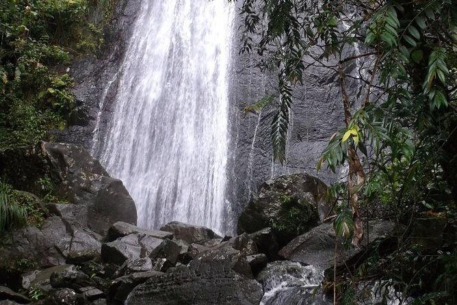 Half-Day El Yunque National Forest Tour from San Juan - Wrapping It All Up