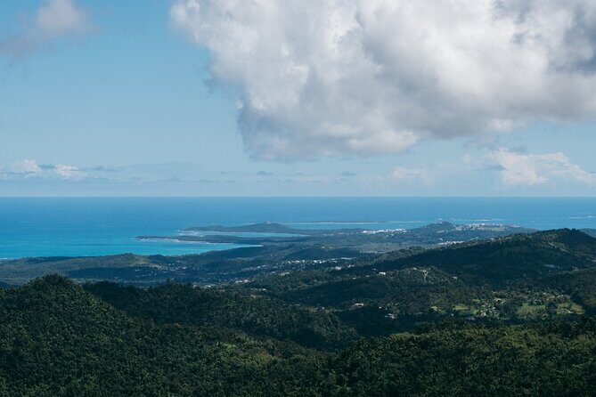 Half-Day El Yunque National Forest Tour from San Juan - Additional Details at a Glance