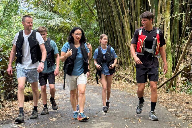 Half Day El Yunque Tour, Waterslide and Rope Swing - The Final Word