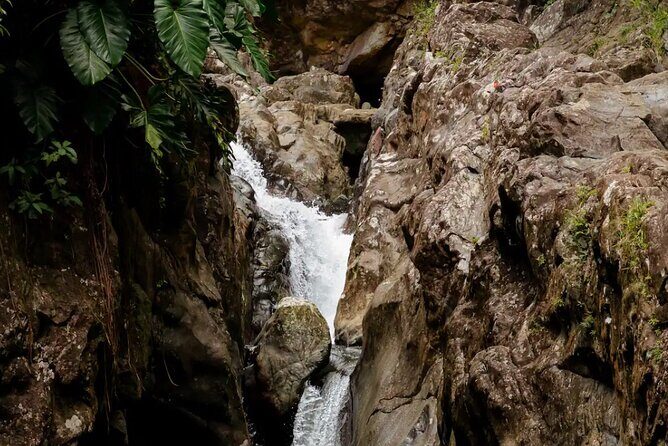 Half-Day El Yunque Waterslide Excursion no Transportation) - The Sum Up: Is it Worth It?