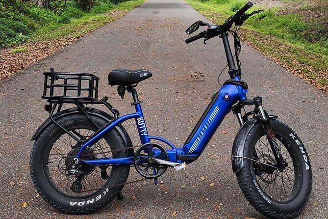 Half Day Electric Bike Rental in Treasure Island - Final Thoughts: Who Is This Tour Best For?